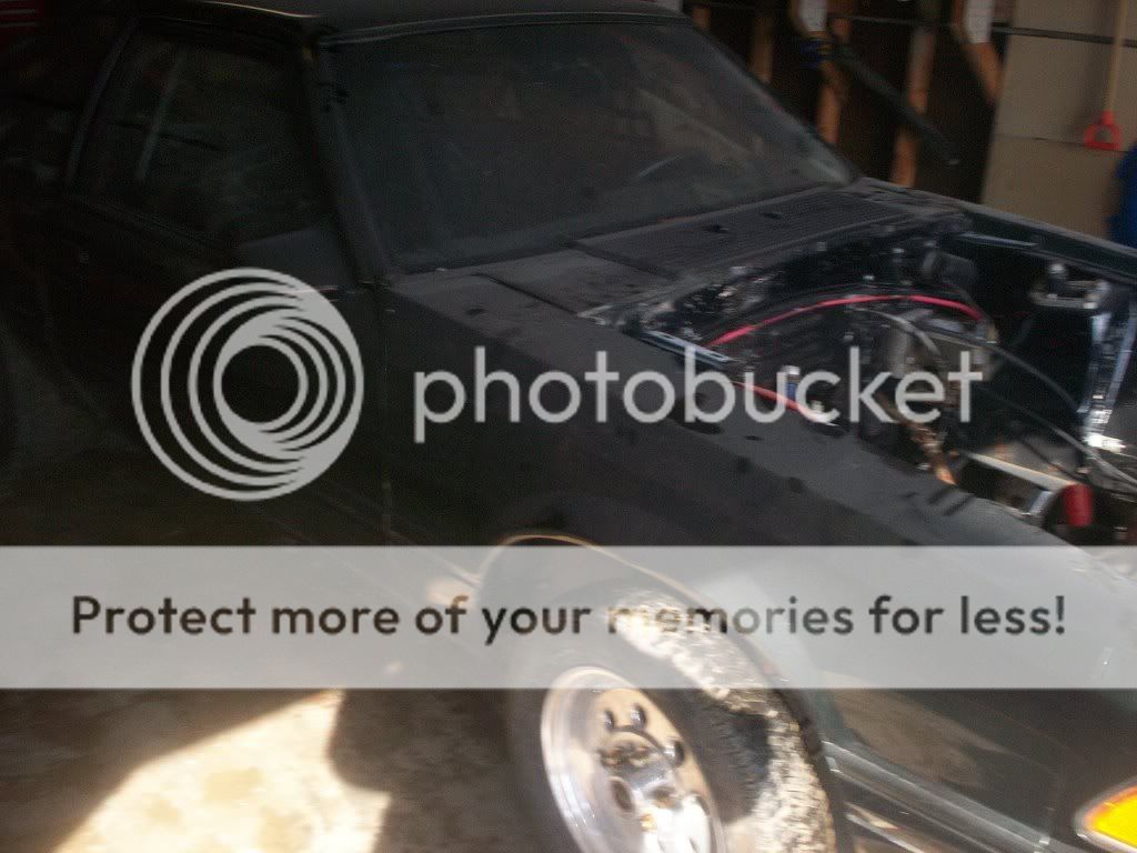 86 Mustang PITA - The BangShift.com Forums